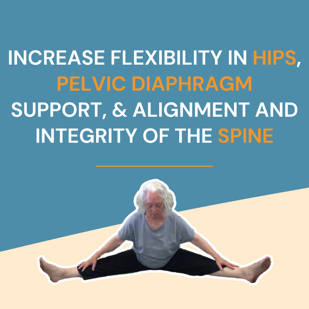 Increase Flexibility in Hips, Pelvic Diaphragm Support, and Alignment ...