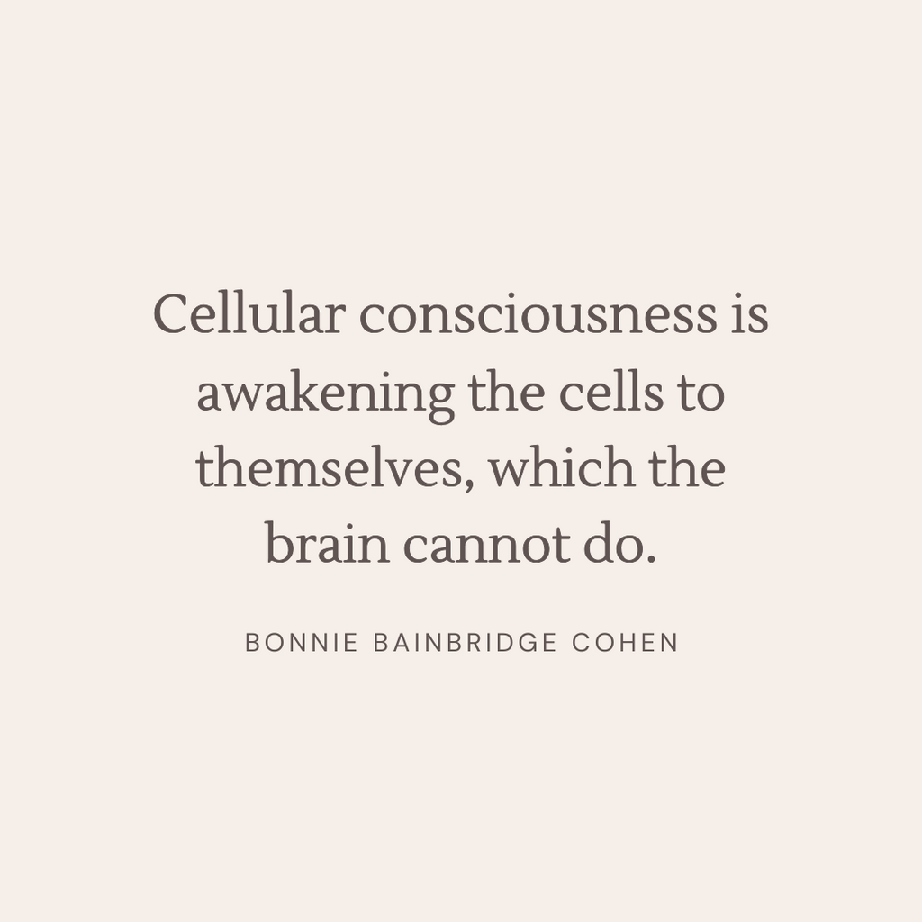 Are You Comfortable? – Bonnie Bainbridge Cohen