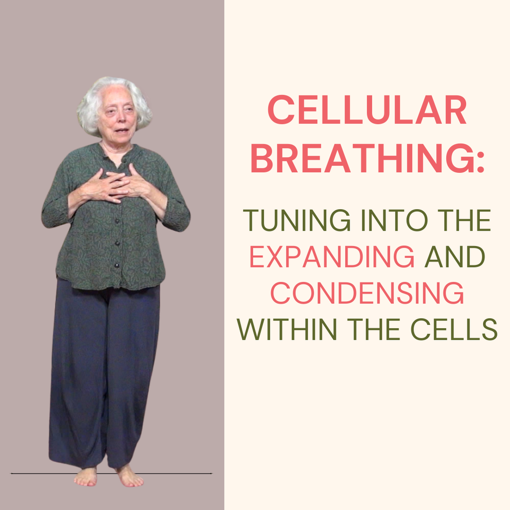 Cellular Breathing – Tuning into the Expanding and Condensing within ...