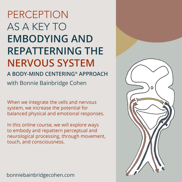 Perception as a Key to Embodying and Repatterning the Nervous System Part 1 and 2 (2023 Spring ...
